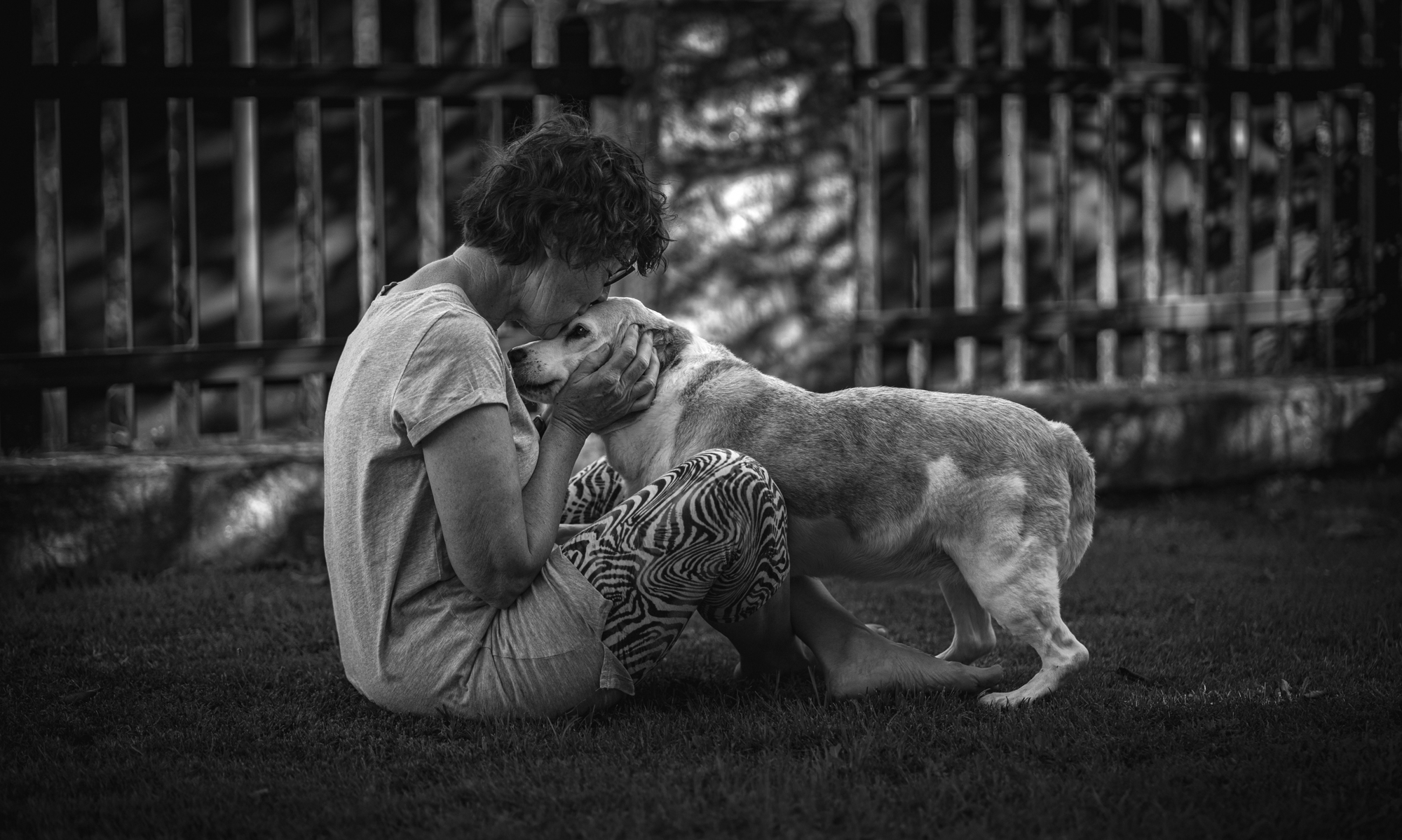 Moj portfolio - Love, Rino