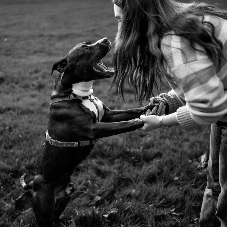 Moj portfolio - Love, Rino